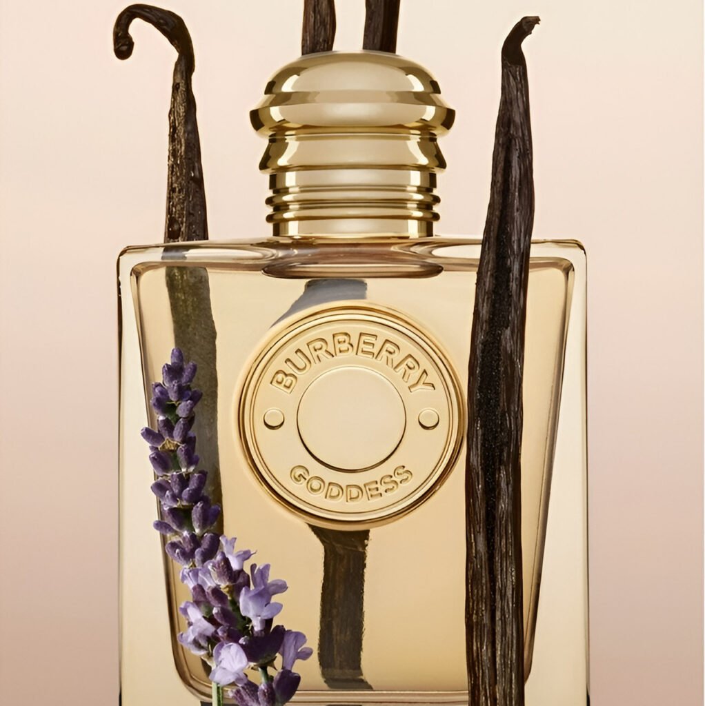 Burberry Goddess Review: A Bold & Addictive Vanilla Dream